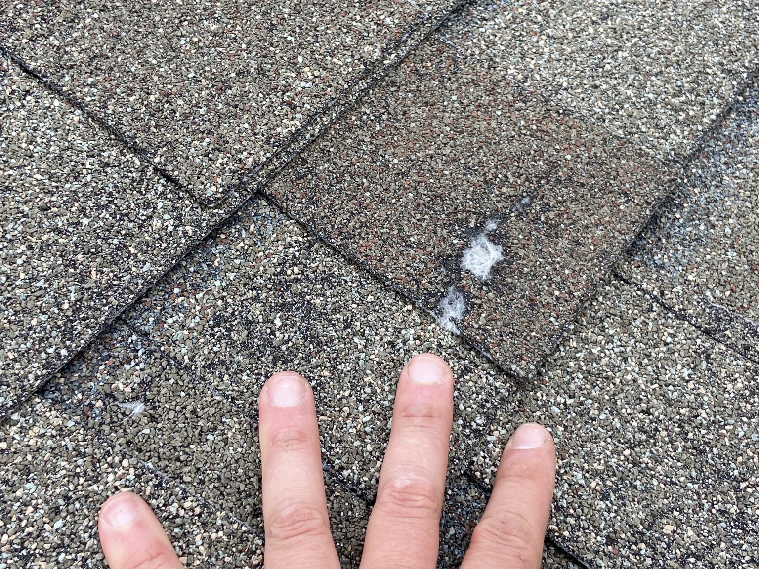 Front of Roof Has Exposed Fiberglass Mat - Litespeed Construction Knoxville