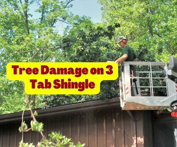 Tree Damage on 3 Tab Shingle Damages the Roof, Framing, and Soffit