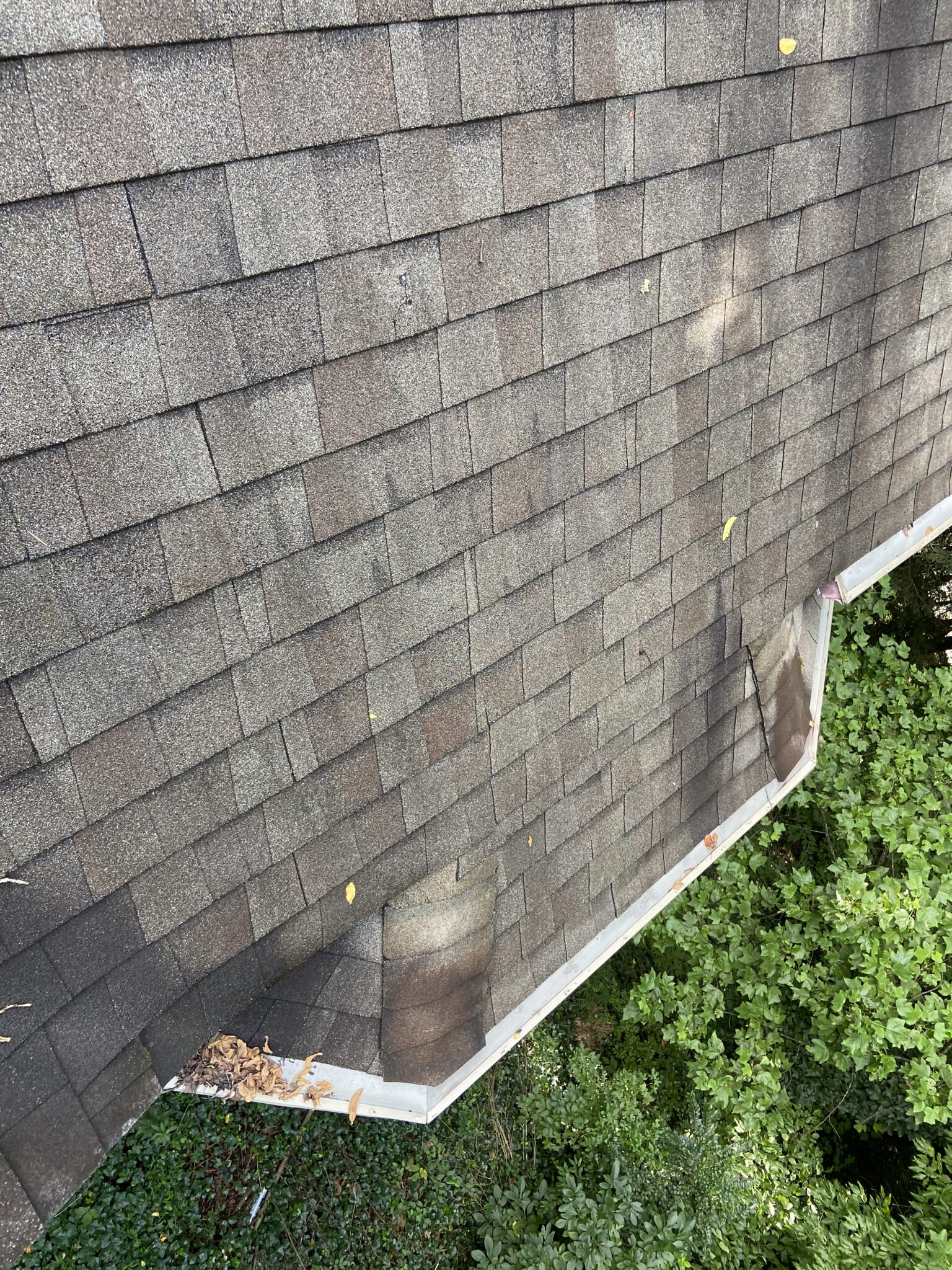 Severe Granule Loss on Old Shingles - Litespeed Construction Knoxville