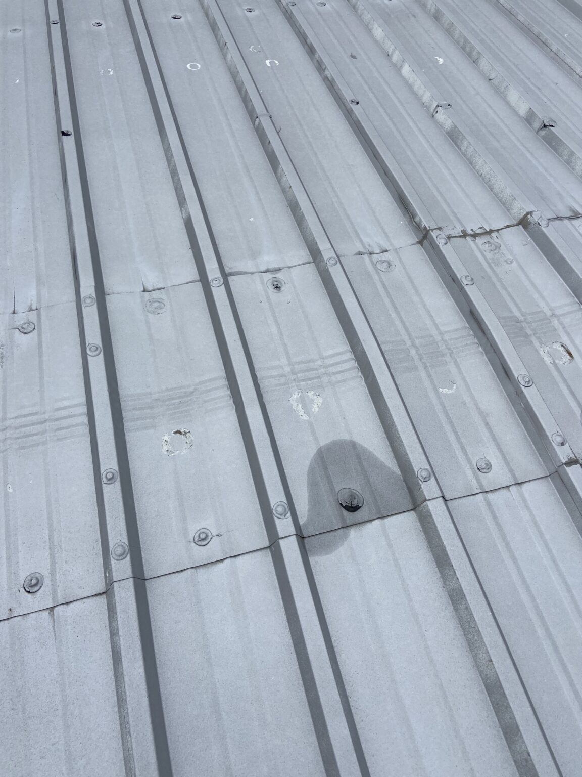 Roof leaks at panel overlap in metal roof - Litespeed Construction ...