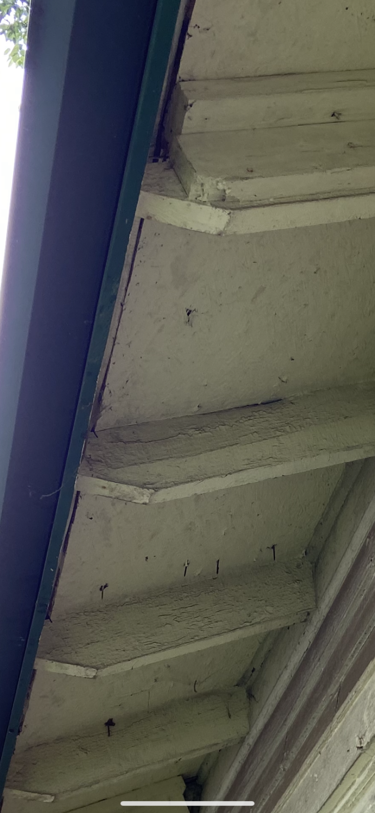 Roof with Rotten Eaves
